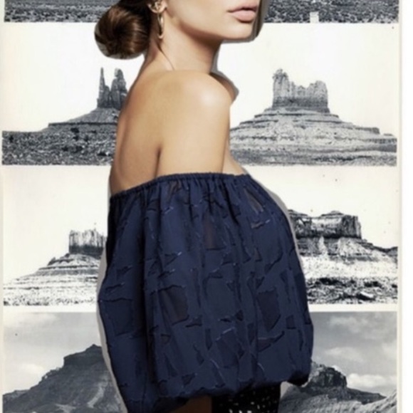 Stone Cold Fox | Tops | Stone Cold Fox Off Shoulder Blue Sheer Blouse ...